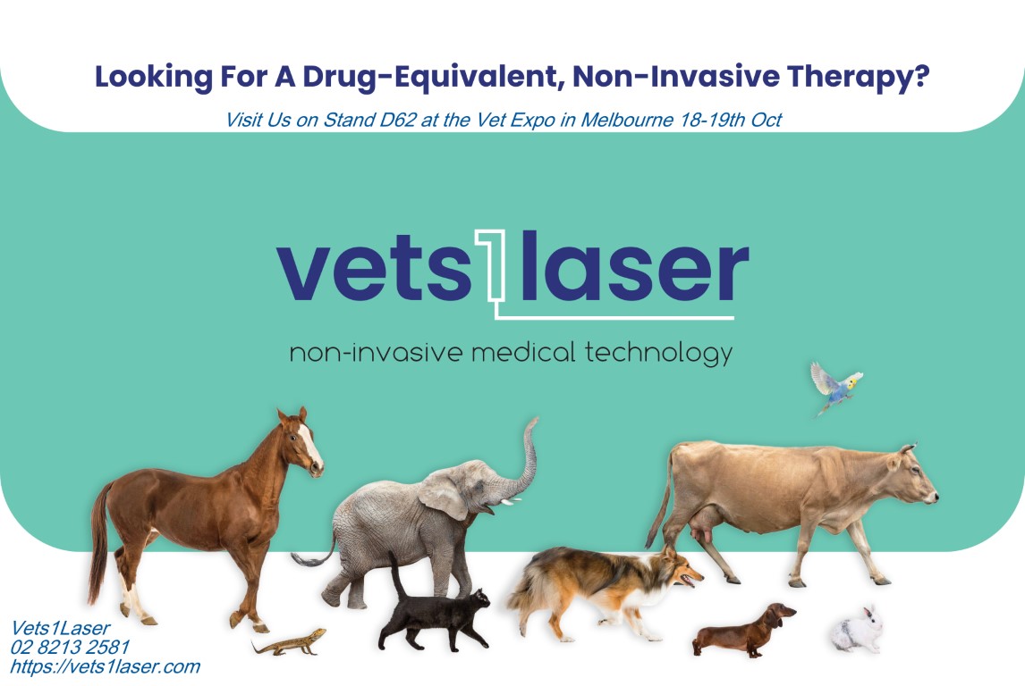 Vets1Laser at VetExpo 2023 - Vets1Laser
